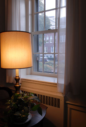 Security Shield™ Window Barriers